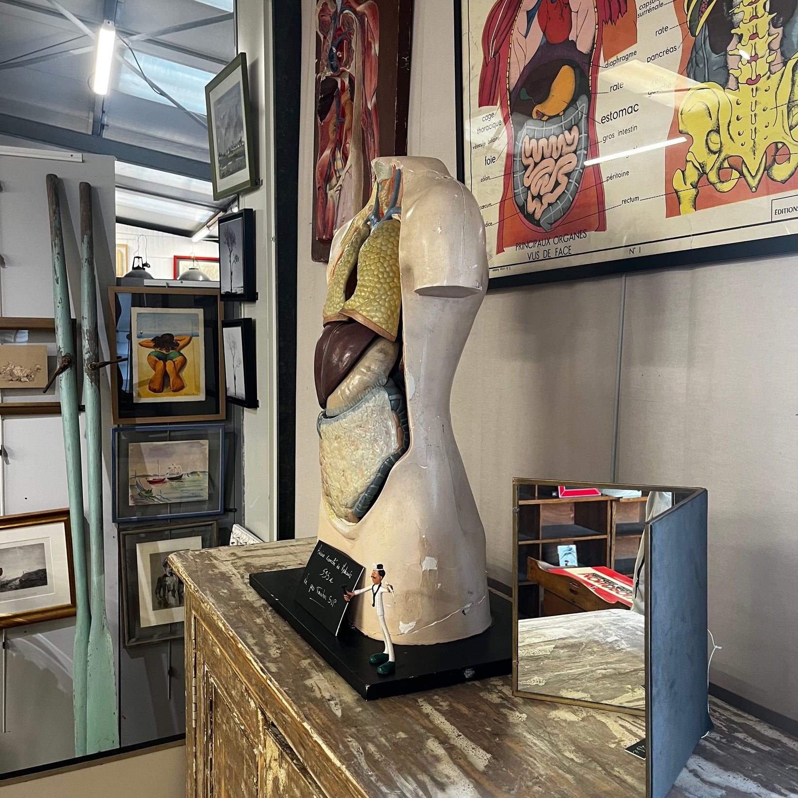 Ecorché Anatomique – L'Atelier du Cadre